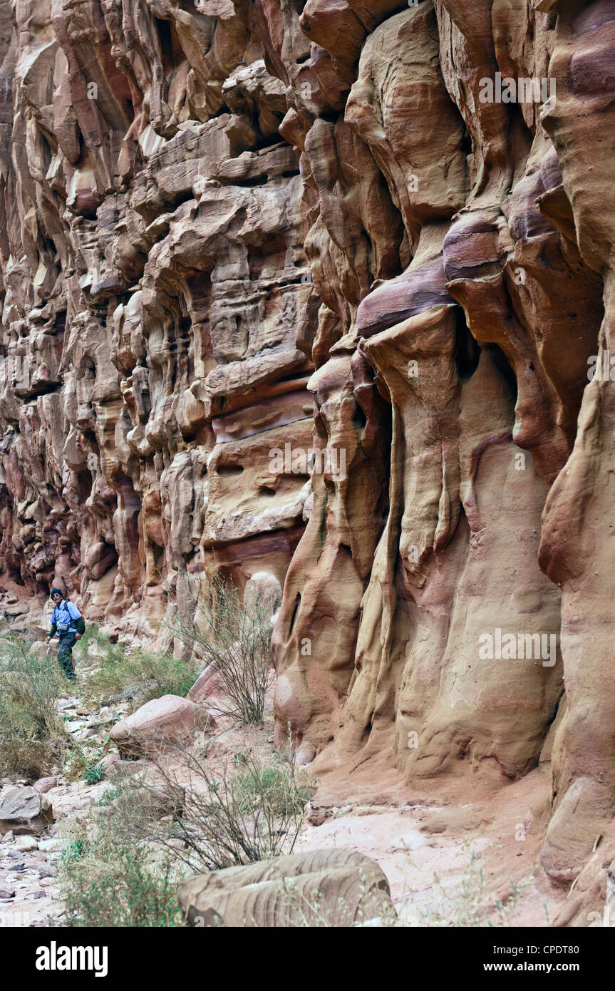 Landscape Wadi Rum Jordan Stock Photo - Alamy