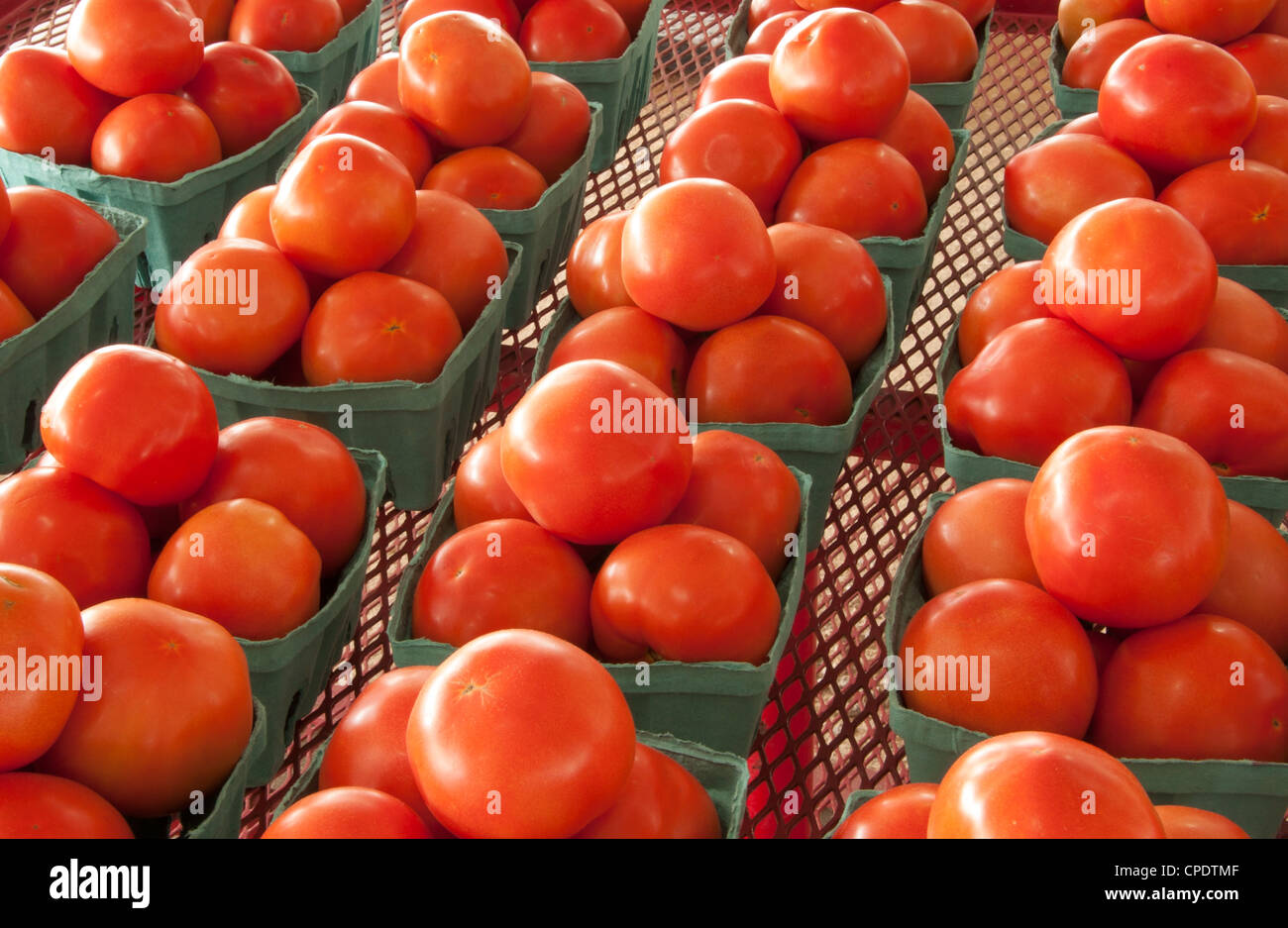 Freshly picked tomatoes in baskets at a farmer's market ready to be ...