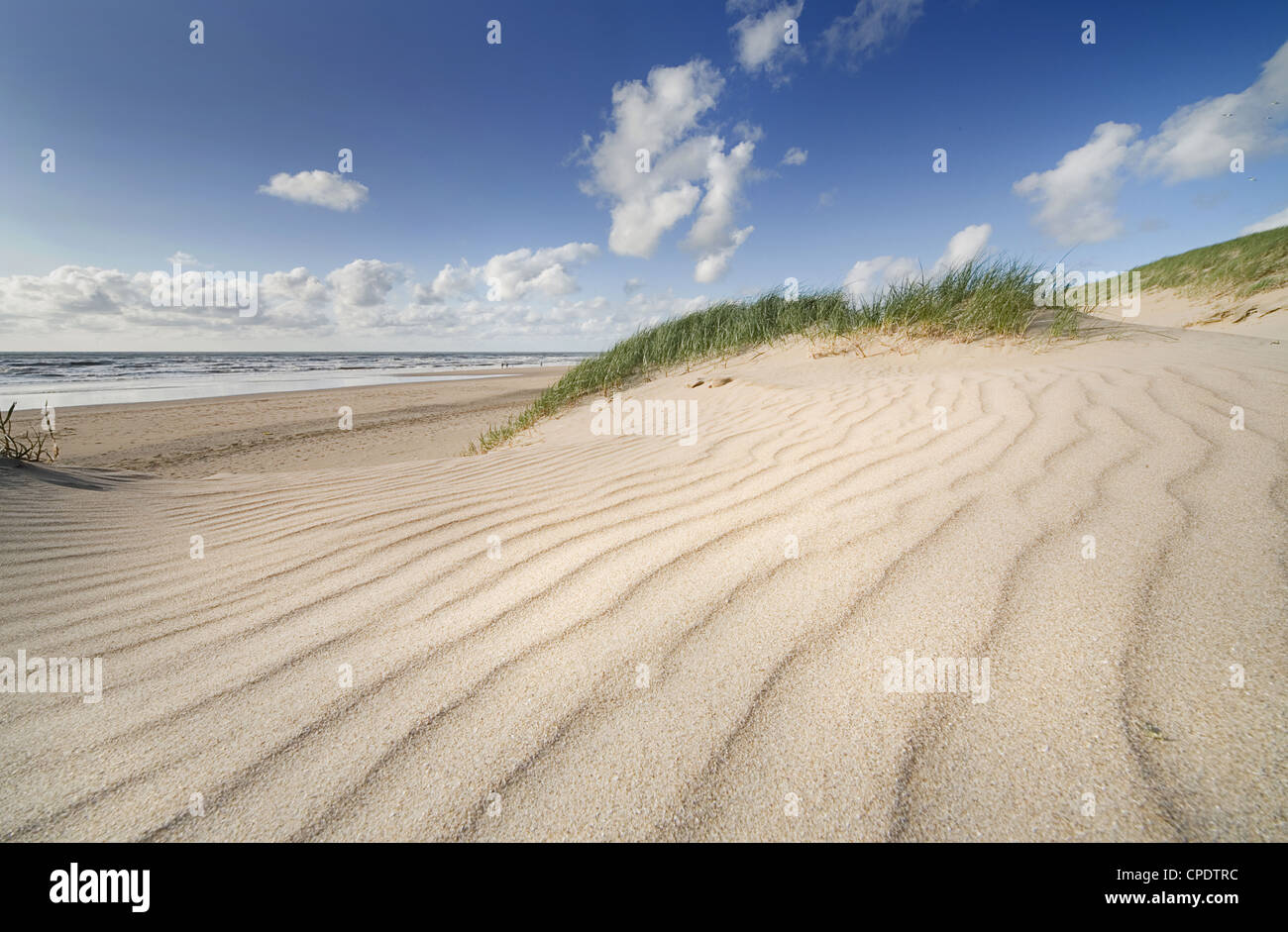 beautiful sand dunes of holland - noordwijk Stock Photo - Alamy