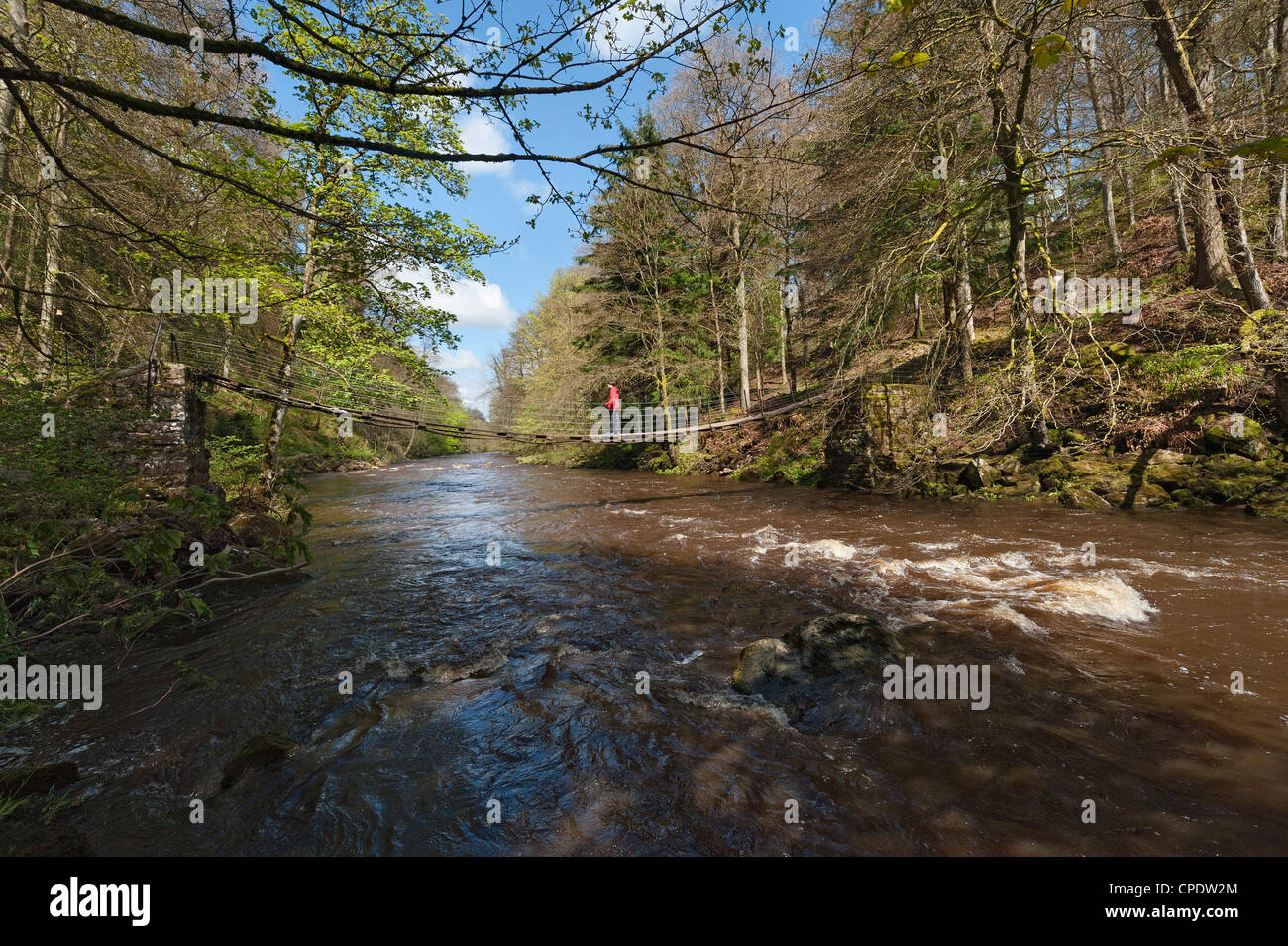 River Allen at Allen Banks Stock Photo - Alamy