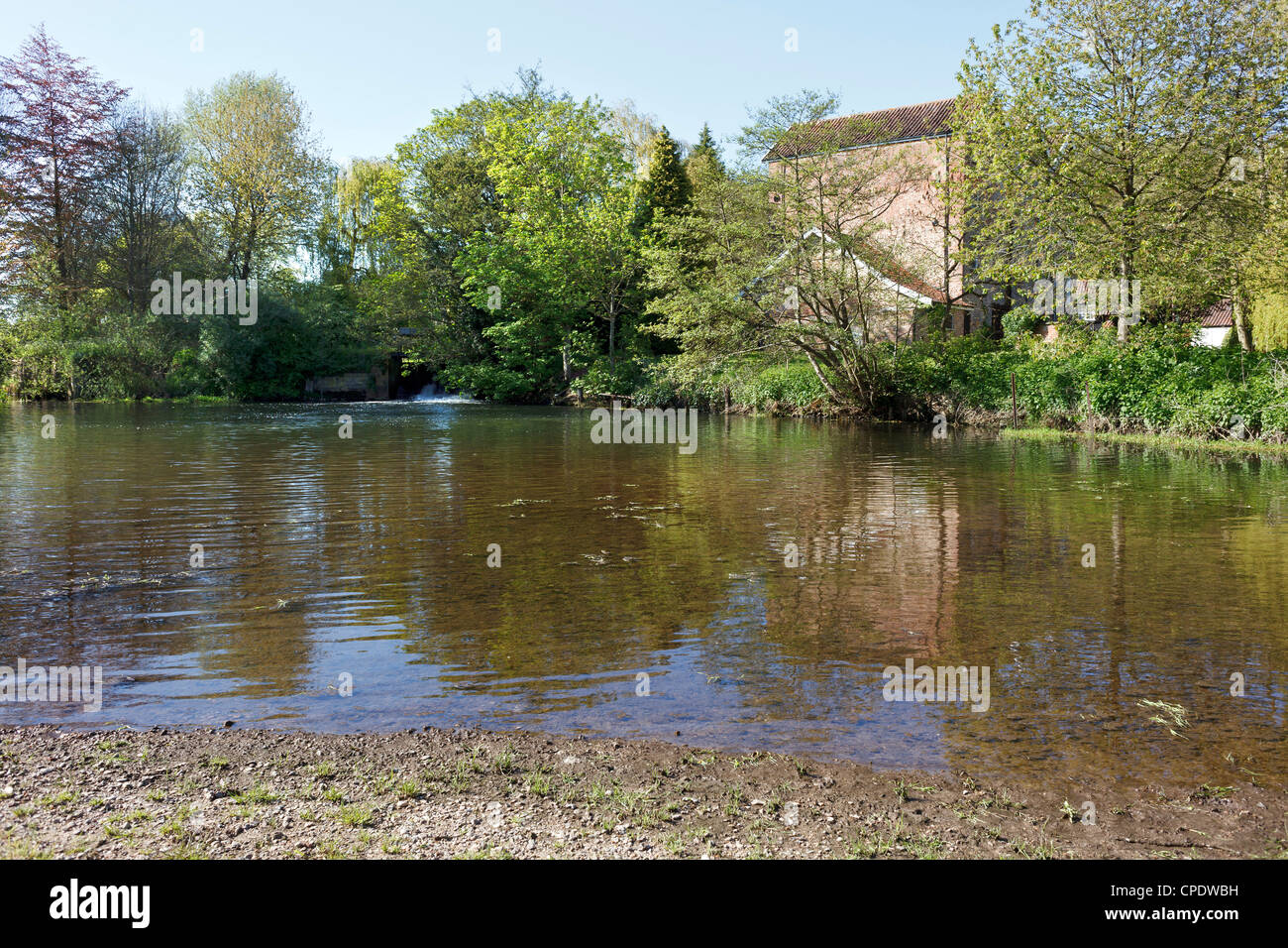 A gentle walk beside the "River Bure" in the "Bure Valley" "East Anglia ...