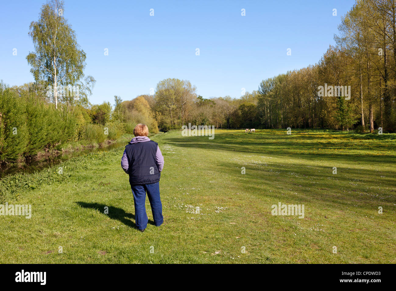 A gentle walk beside the "River Bure" in the "Bure Valley" "East Anglia ...