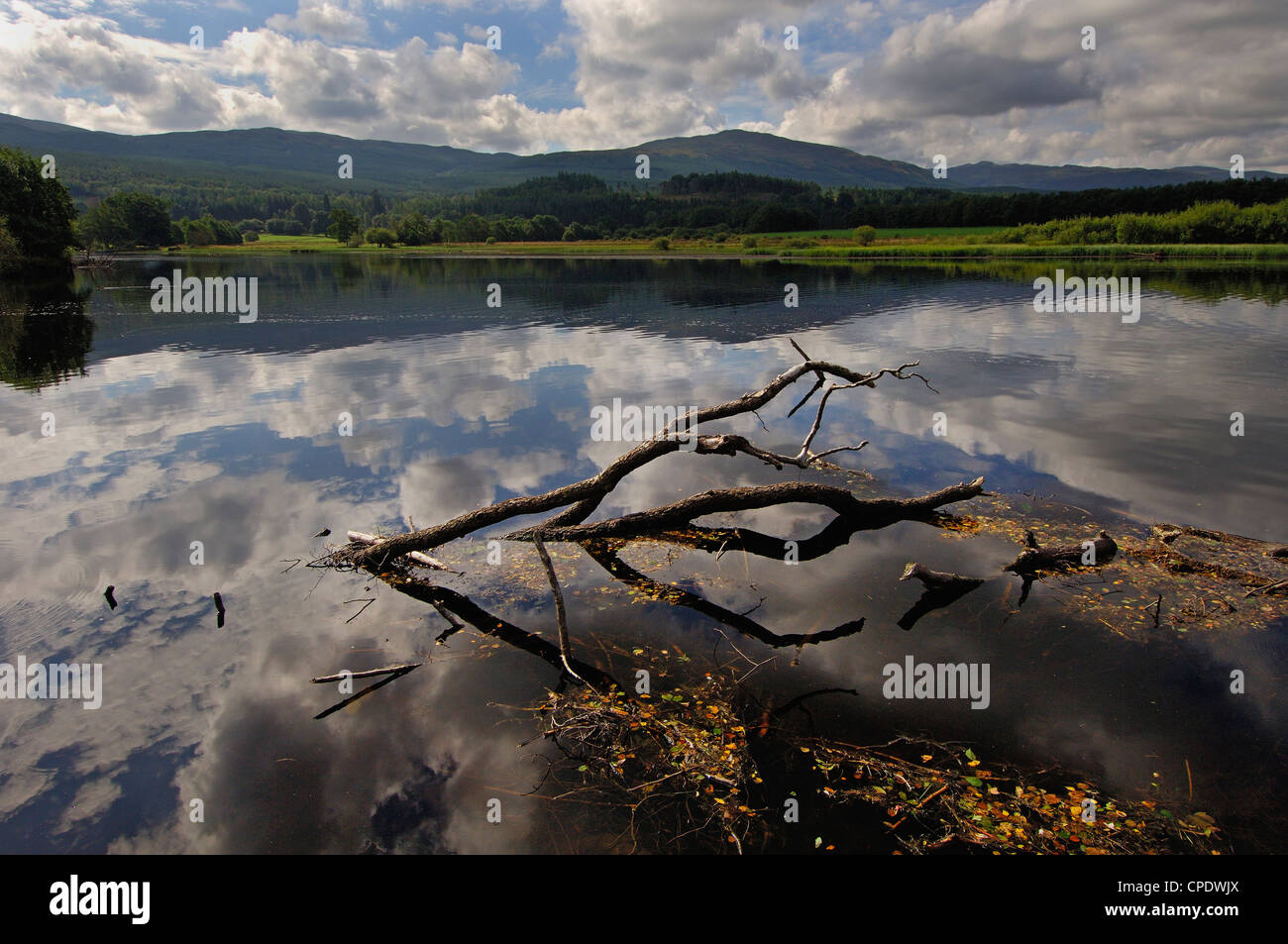 Flotsam in the still waters of the River Lochay, Perthshire, Scotland ...