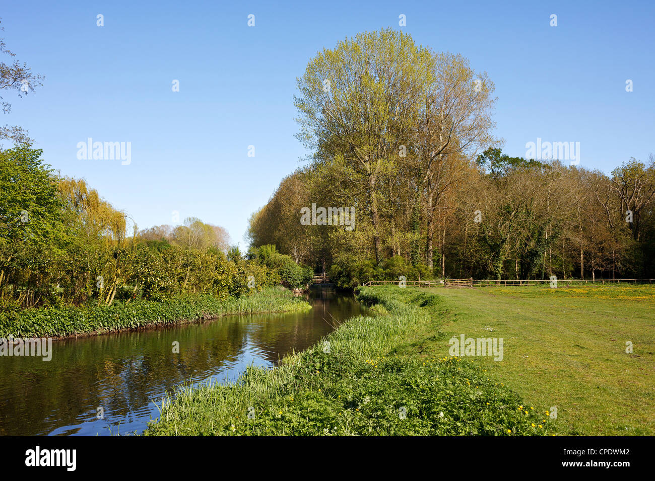 A gentle walk beside the "River Bure" in the "Bure Valley" "East Anglia ...