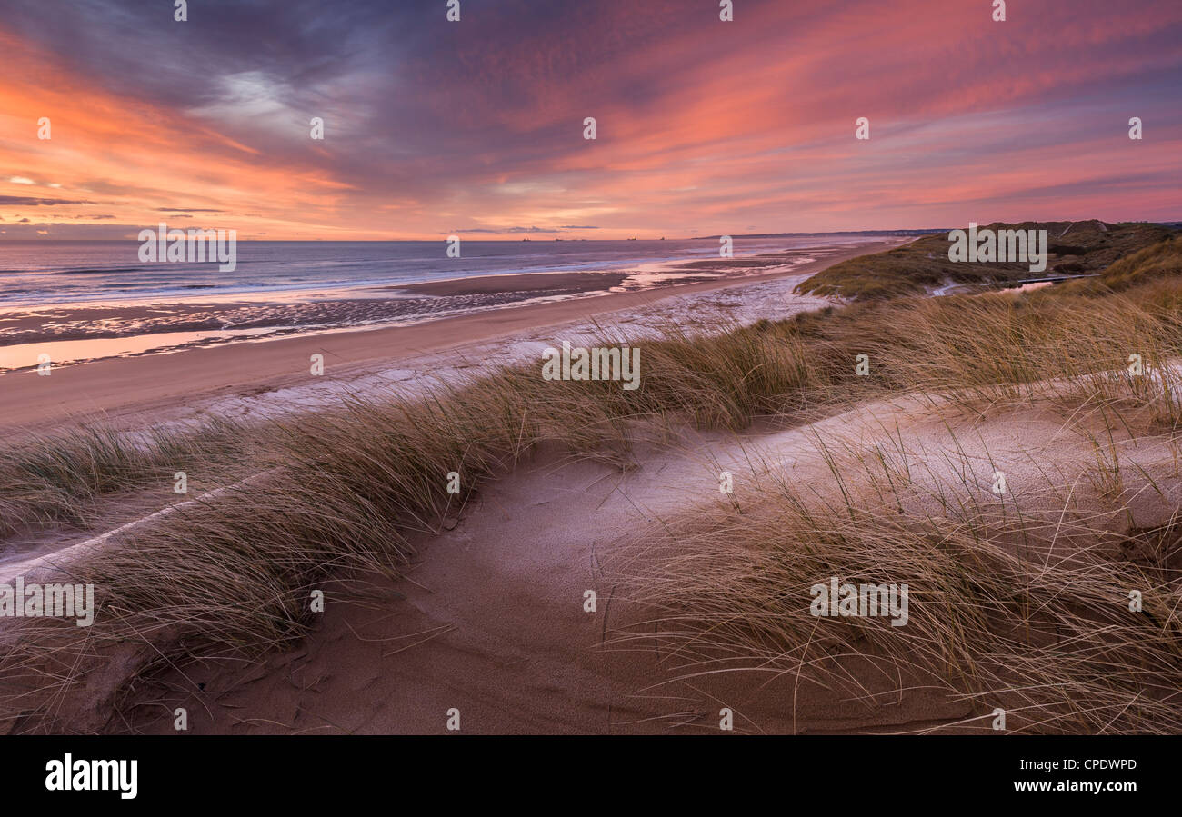 Balmedie beach hi-res stock photography and images - Alamy