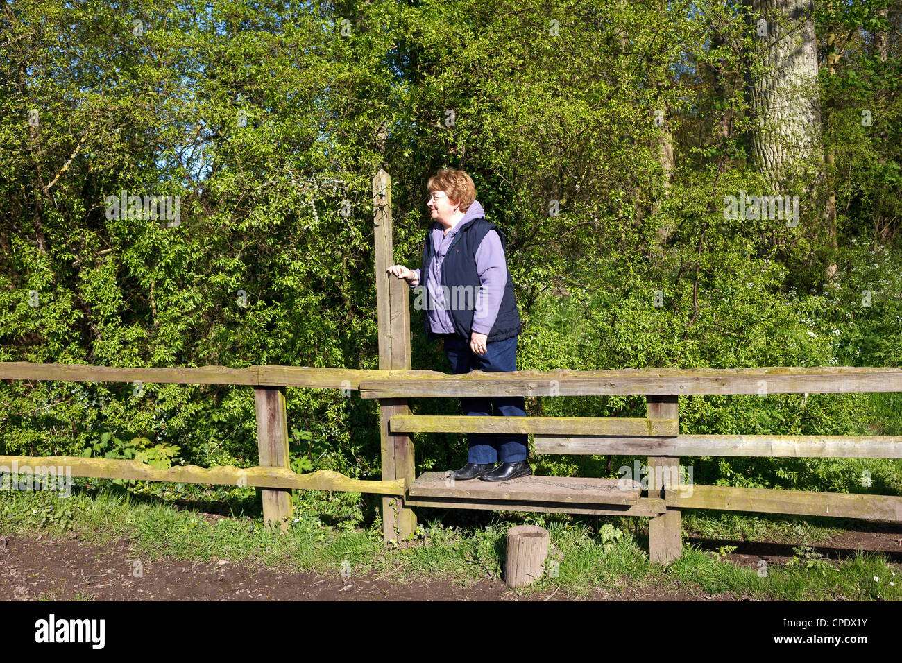 A rambler negotiates a footpath stile on her walk along the "River Bure ...