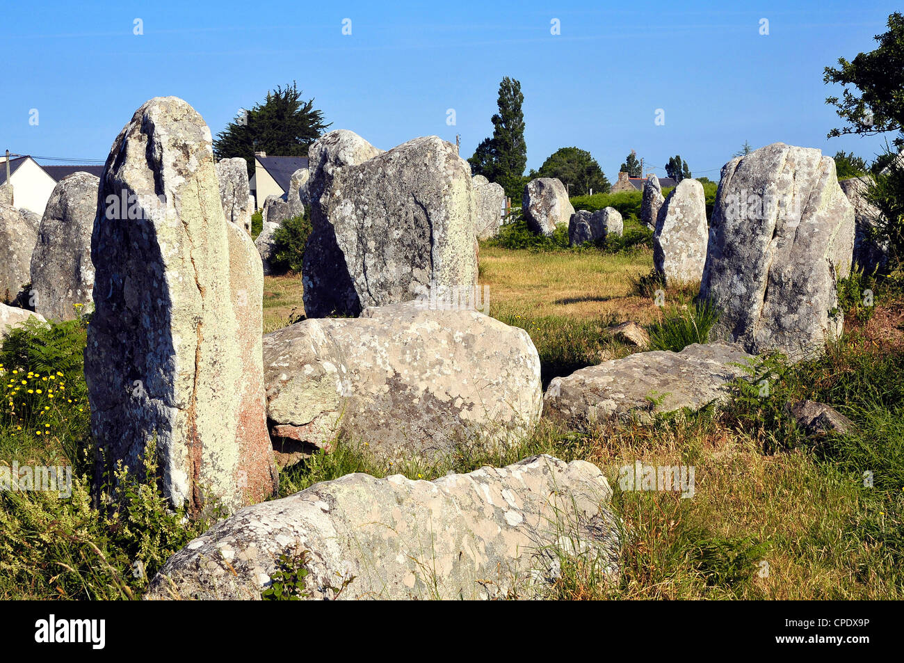 Standing stones alignment hi-res stock photography and images - Alamy