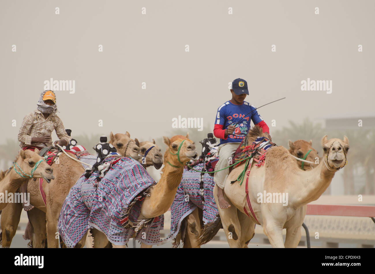 Camel racing hi-res stock photography and images - Alamy