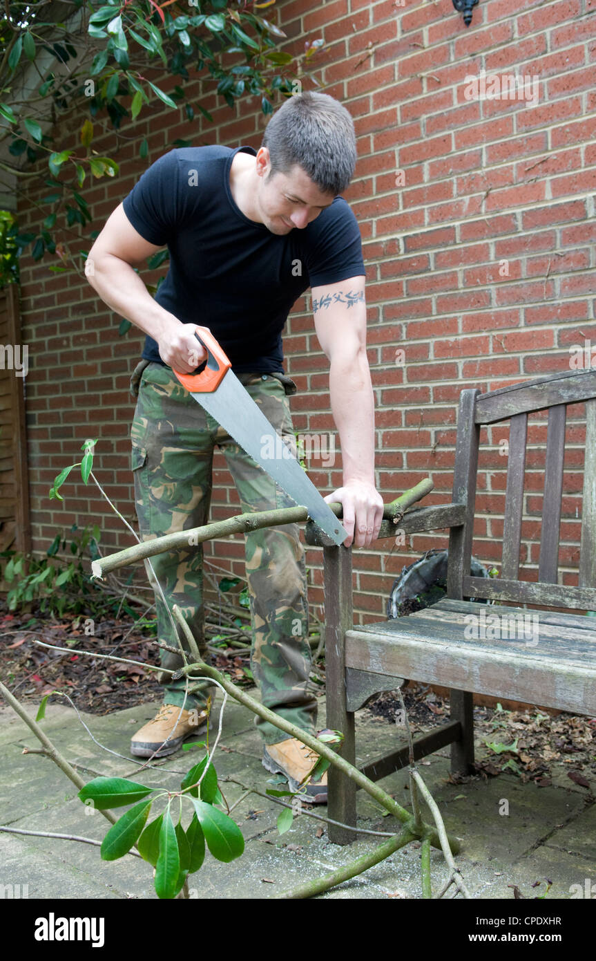 Hand Saw And Tree Stock Photos & Hand Saw And Tree Stock Images - Alamy