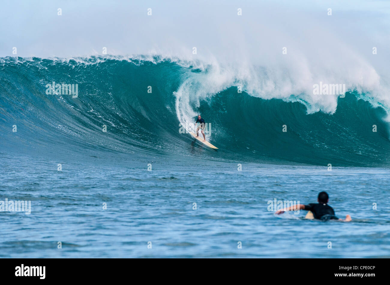 Surfing dropping into a big wave, Hawaii Stock Photo - Alamy