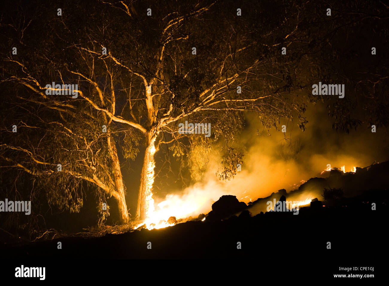 Country fire authority hi-res stock photography and images - Alamy