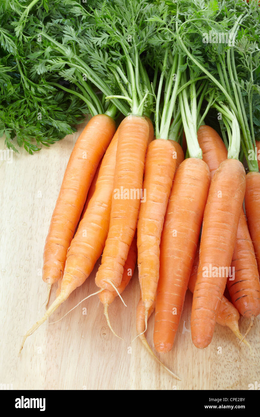 Fresh carrots bunch Stock Photo - Alamy