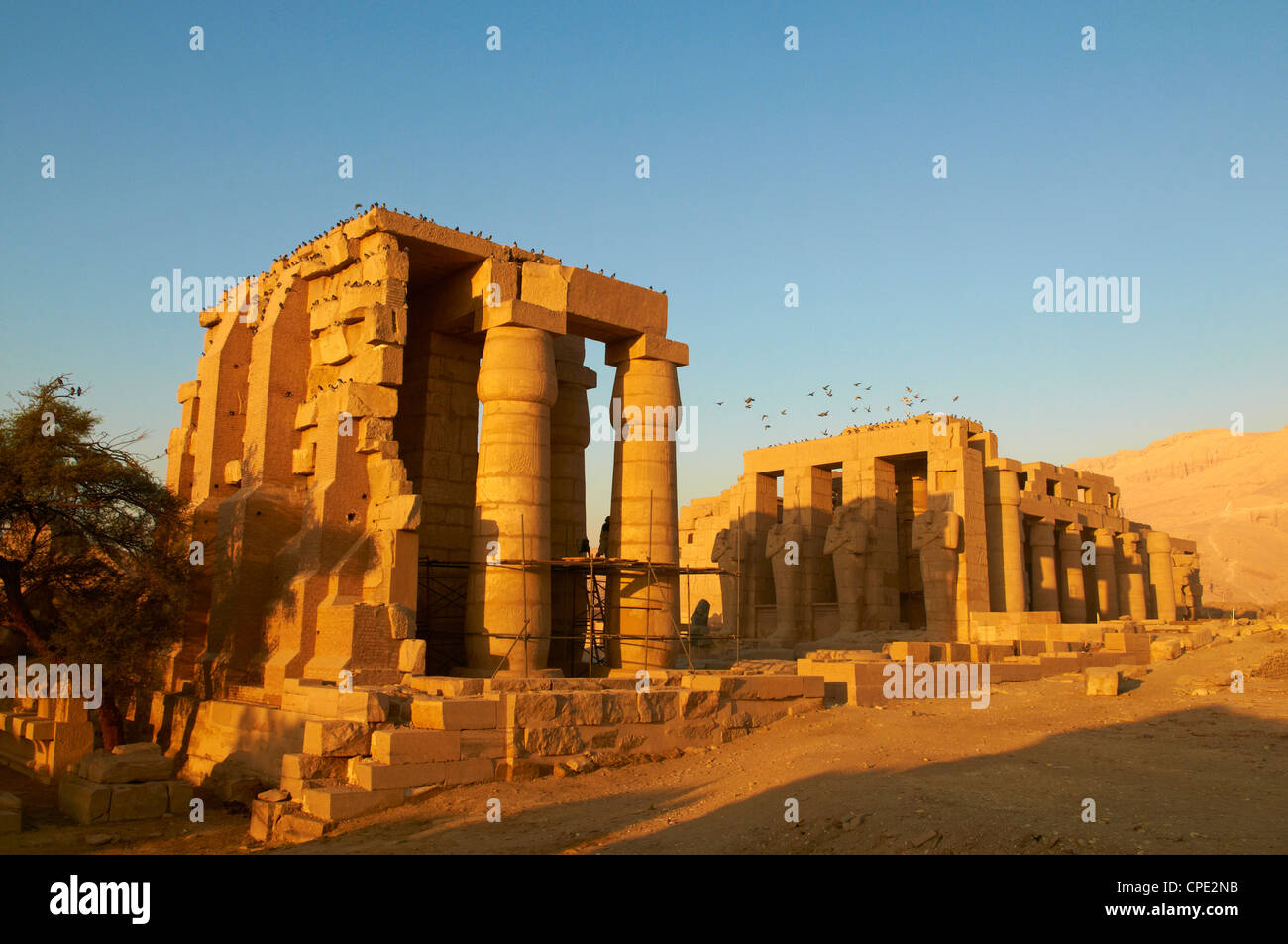 Ramesseum Temple, West Bank of the River Nile, Thebes, UNESCO World ...