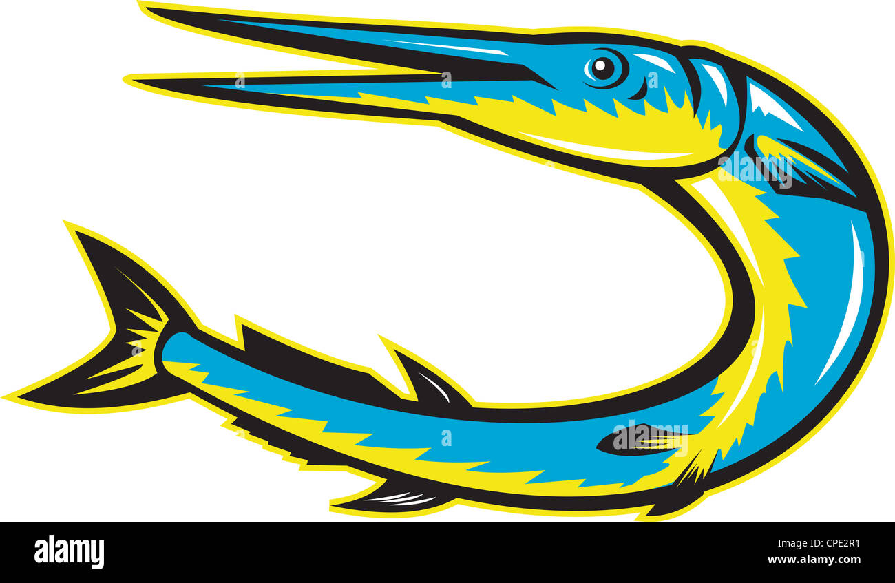 Needle fish hi-res stock photography and images - Alamy