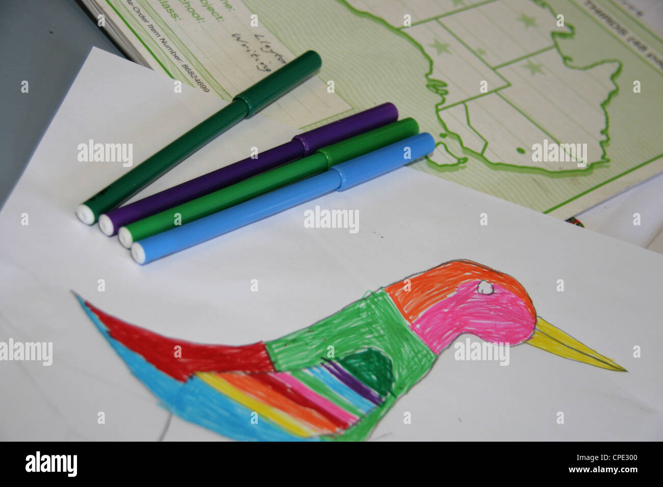 Primary student picture of bird Stock Photo - Alamy