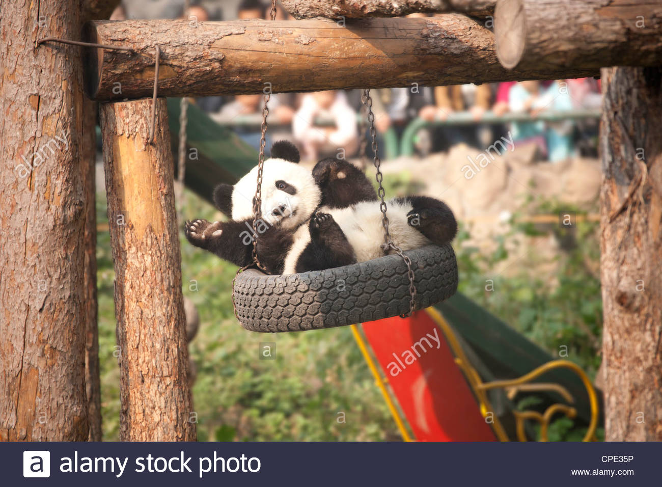 Panda Waving Stock Photos & Panda Waving Stock Images - Alamy