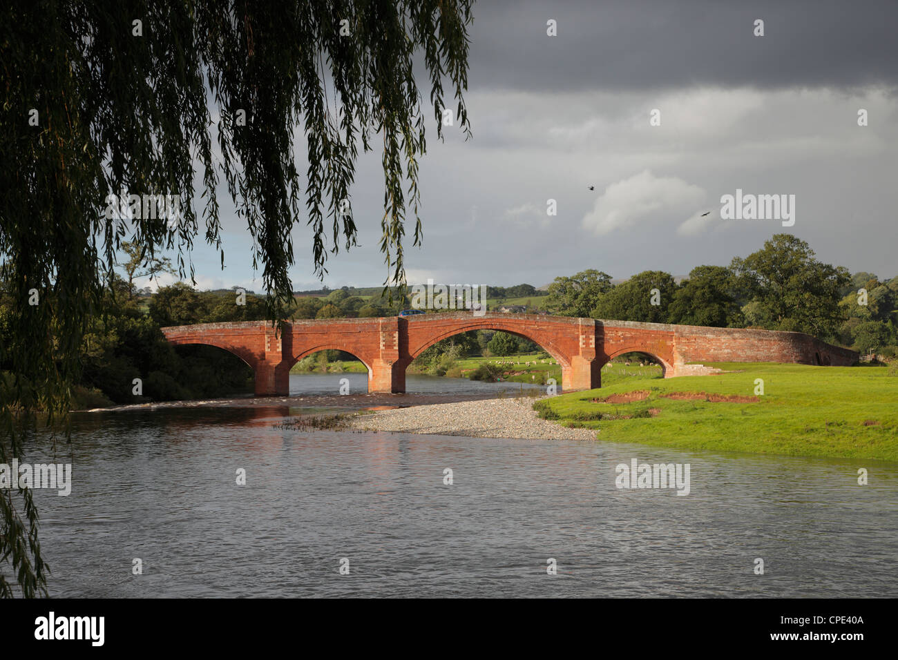 Willow over The Eden Bridge, Lazonby, Eden Valley Cumbria England UK ...
