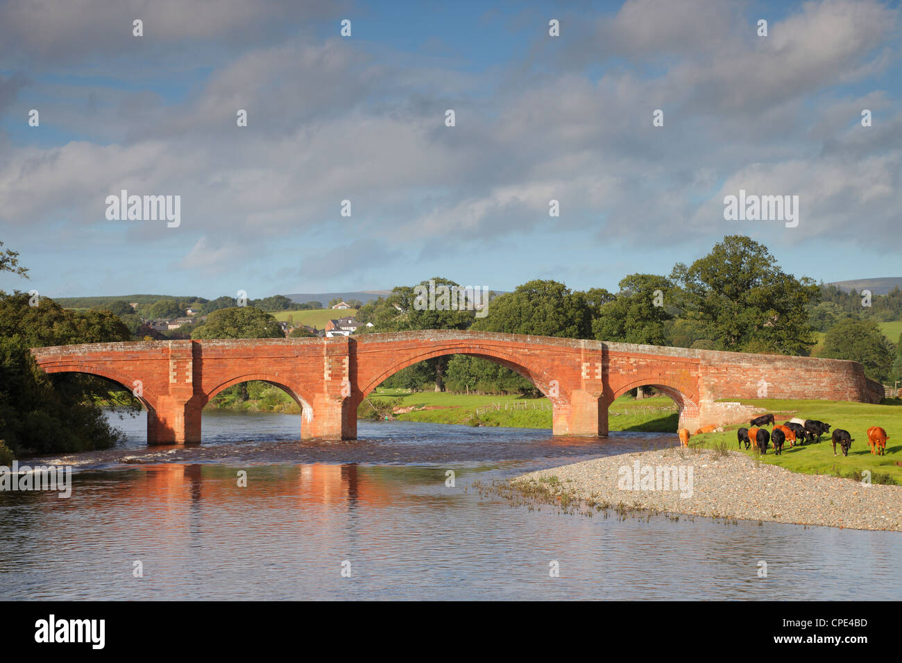 The Eden Bridge, Lazonby, Eden Valley Cumbria England UK Stock Photo ...
