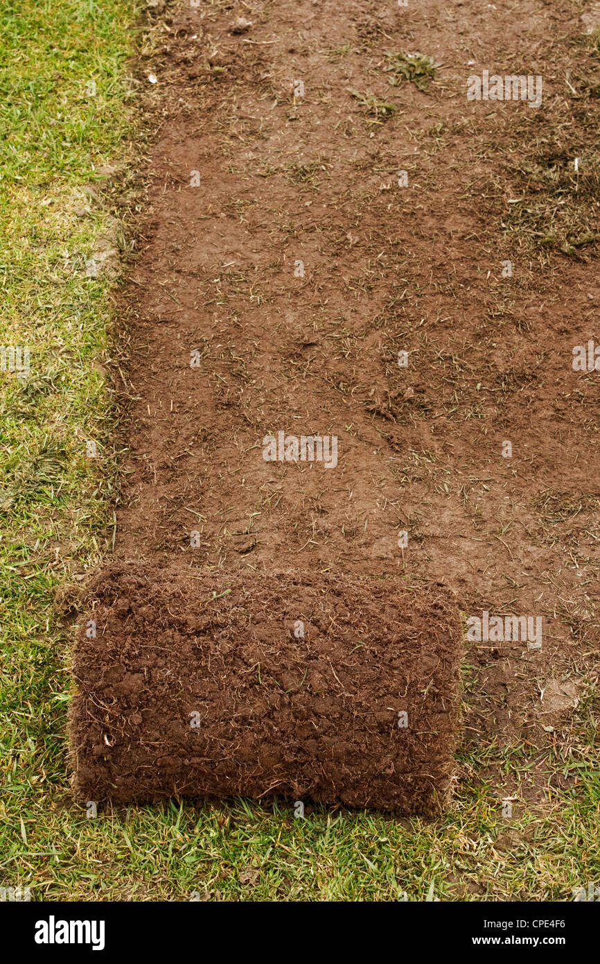 Grass turf roll hi-res stock photography and images - Alamy