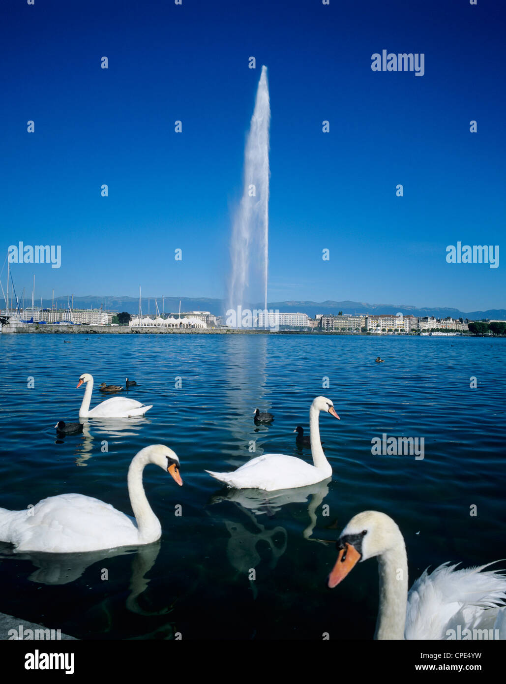 Blue Sky White Jet High Resolution Stock Photography and Images - Alamy