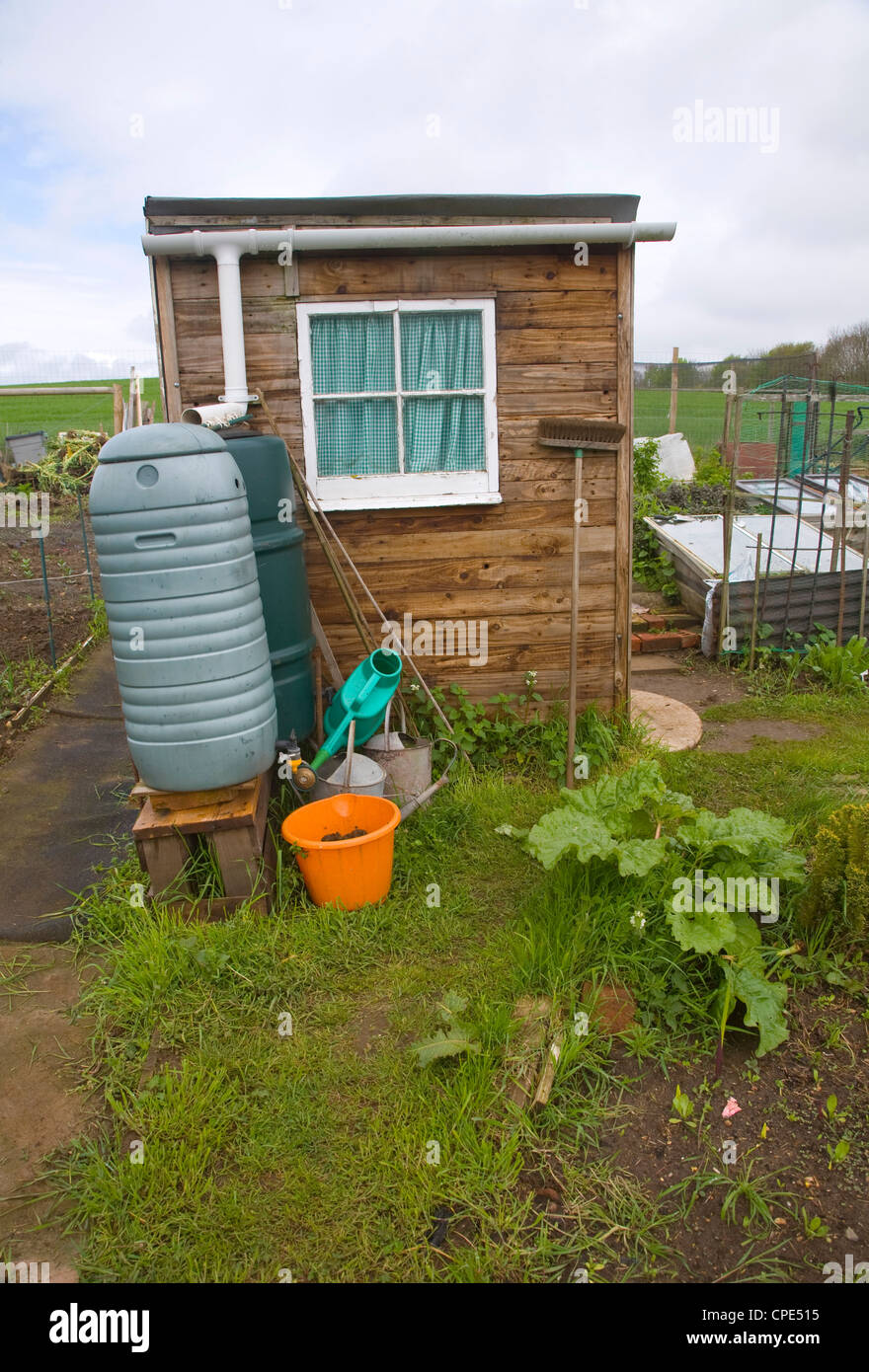 Allotment garden shed water butts Stock Photo - Alamy