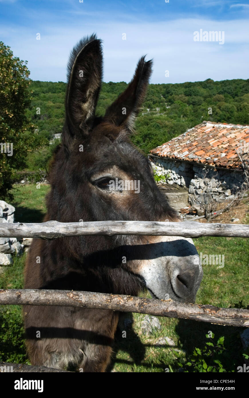 Rural croatia hi-res stock photography and images - Alamy