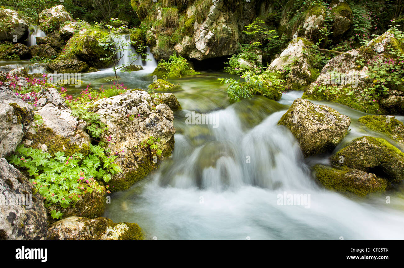 Alpine stream travel destination hi-res stock photography and images ...