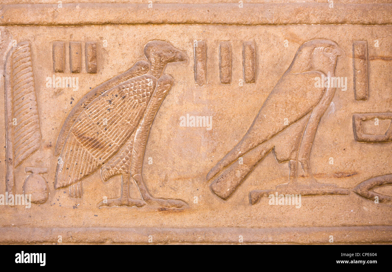 Hieroglyph Bird High Resolution Stock Photography and Images - Alamy