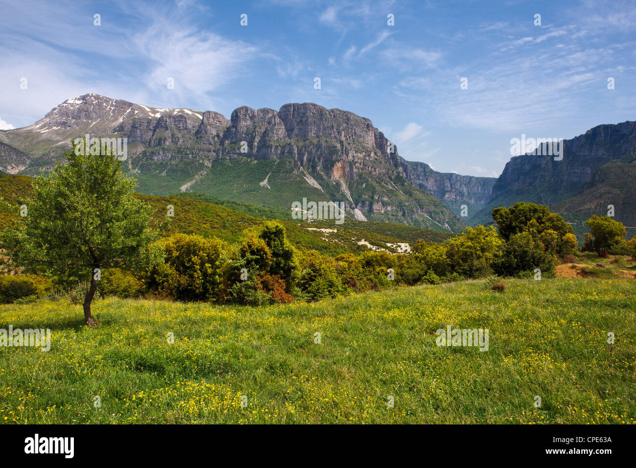 Wild flower meadow with the Astraka Towers and Vikos Gorge in the ...