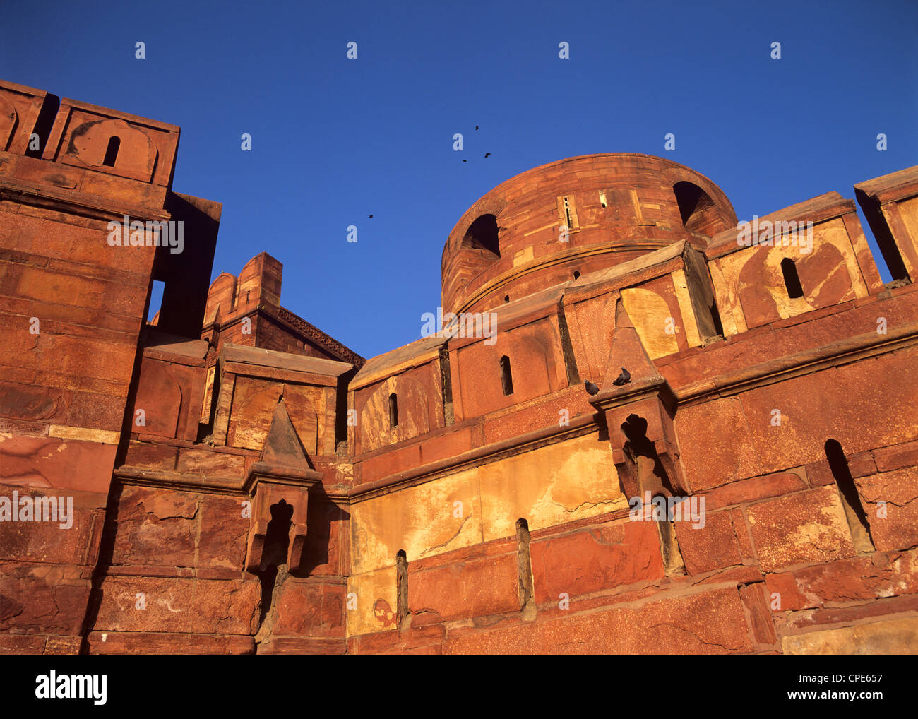 The imposing red sandstone Agra Fort with kites flying overhead, UNESCO ...