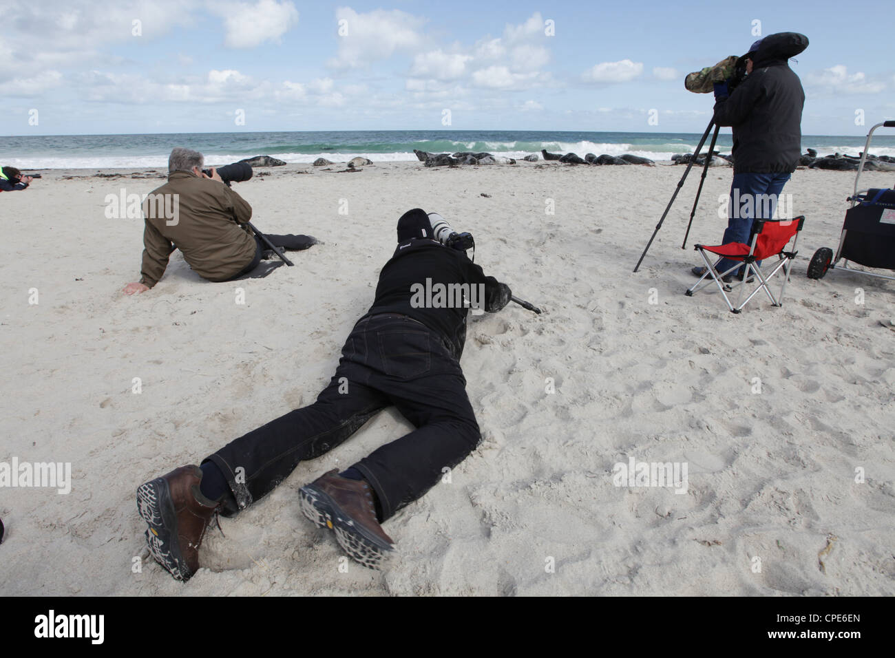 Observing group behavior hi-res stock photography and images - Alamy