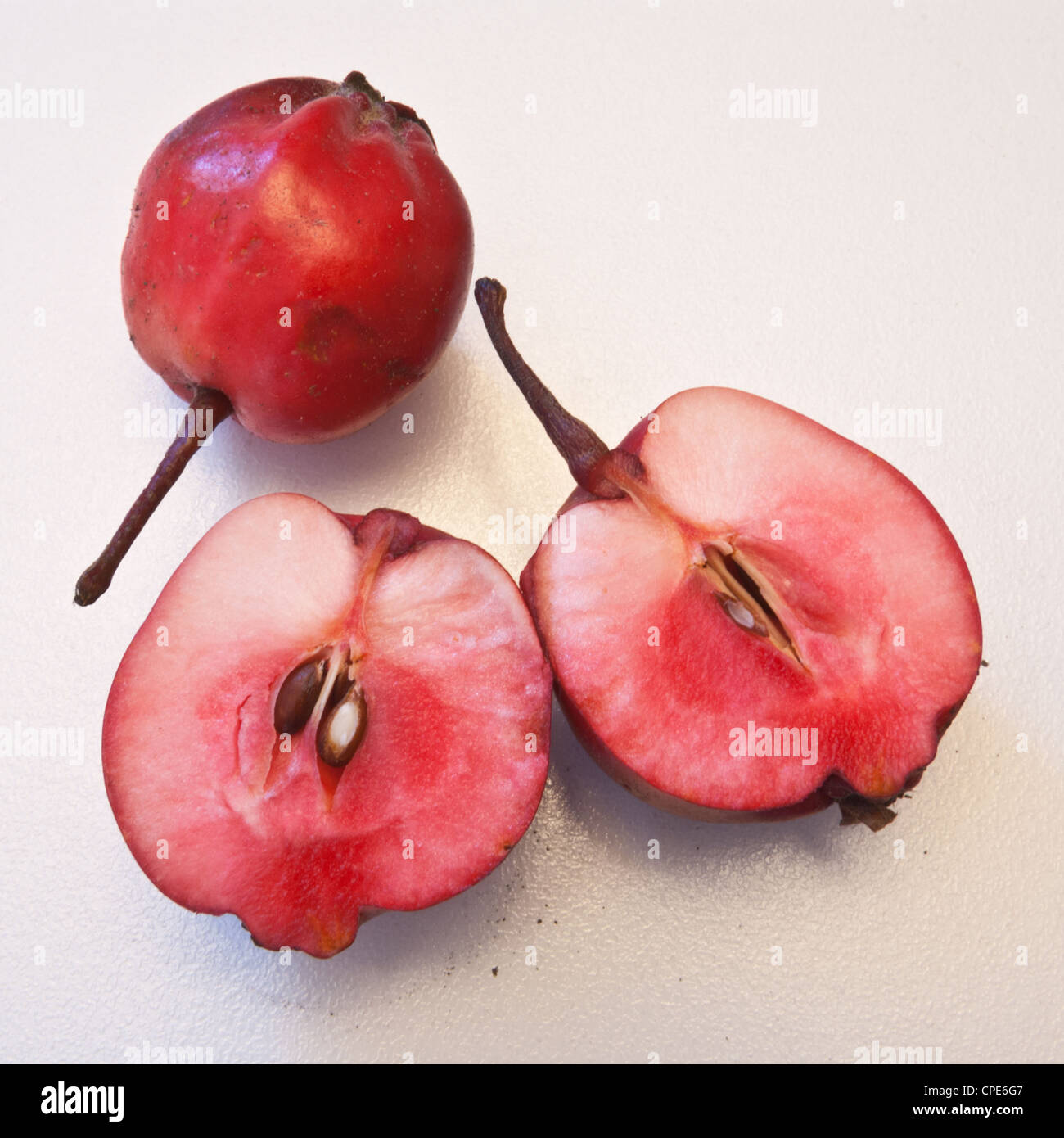 Crab apples cut open to show the colour of flesh on white background ...