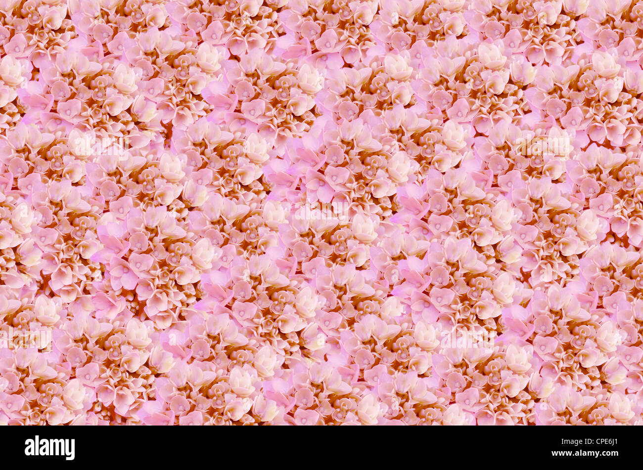 art background with pink flowers , abstract wallpaper Stock Photo - Alamy