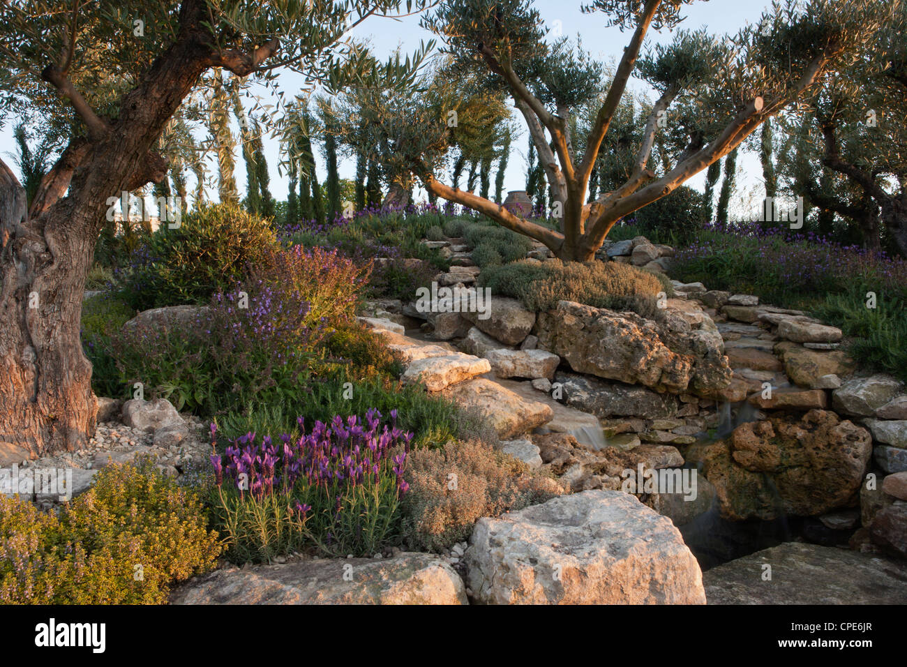 Mediterranean trees hi-res stock photography and images - Alamy