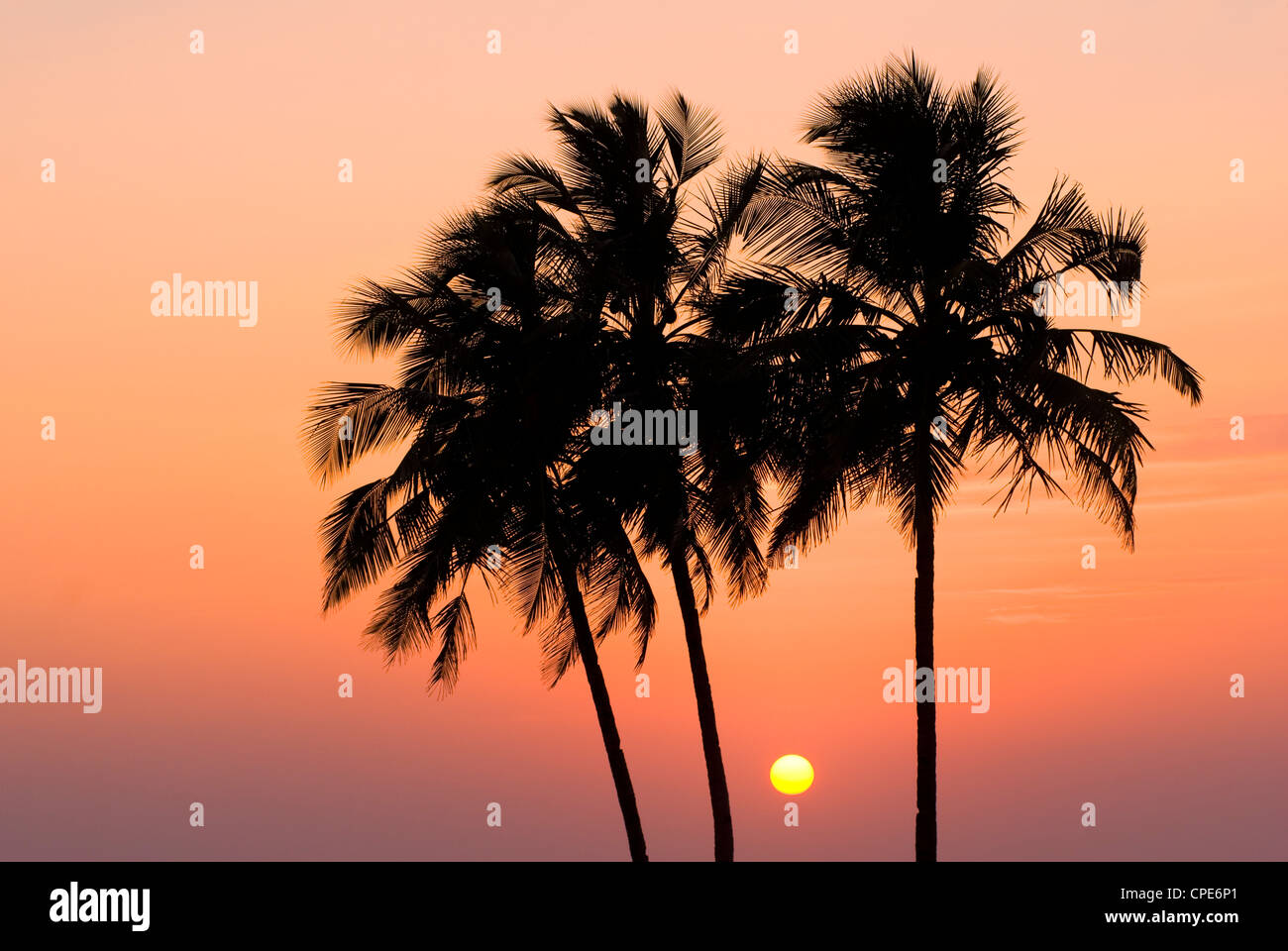 Agonda Beach, Goa, India, Asia Stock Photo - Alamy