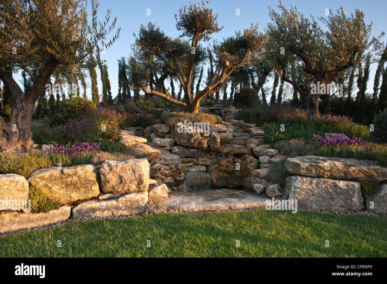 Mediterranean trees hi-res stock photography and images - Alamy