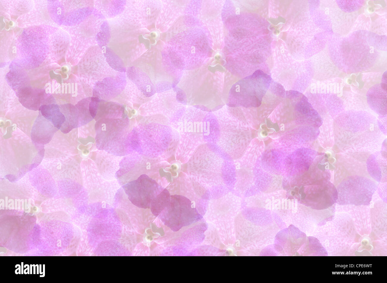 art background with violet flowers , abstract wallpaper Stock Photo - Alamy