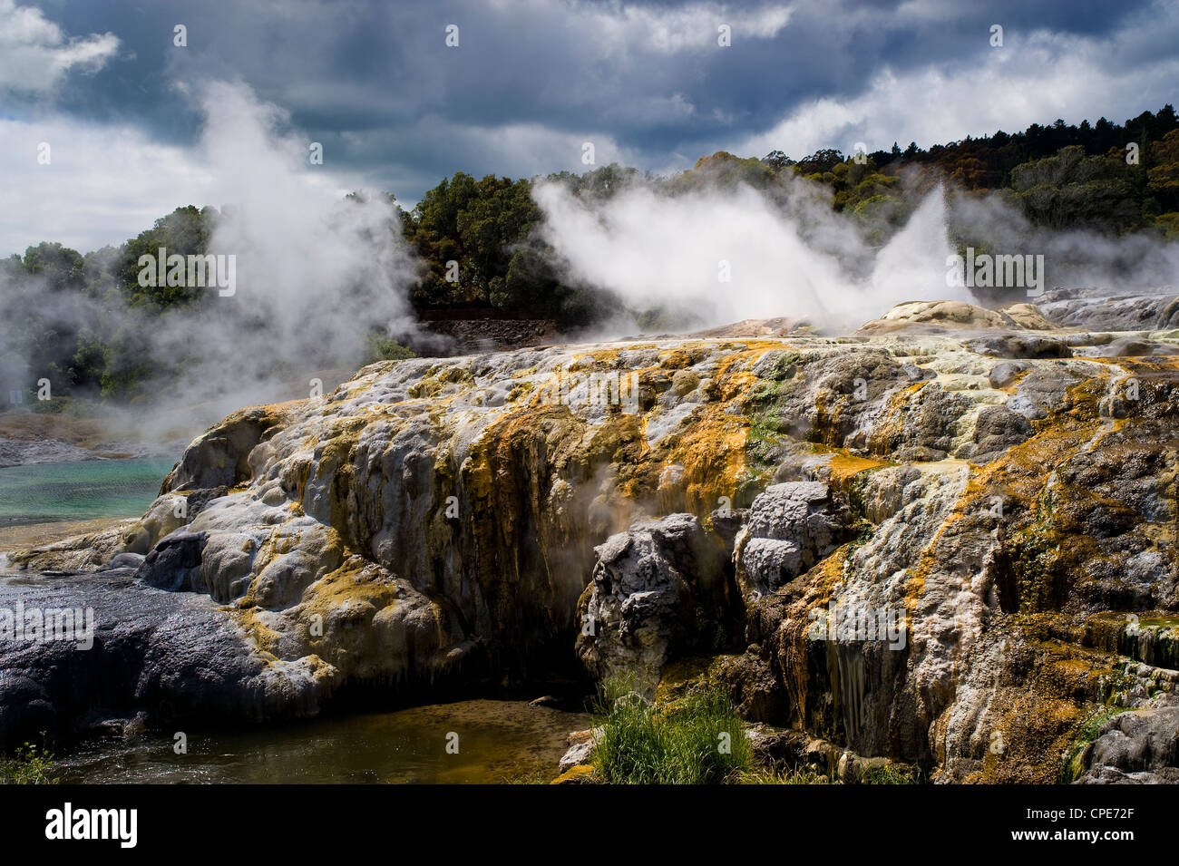 Whakarewarewa Thermal Reserve, North Island, New Zealand, Pacific Stock ...