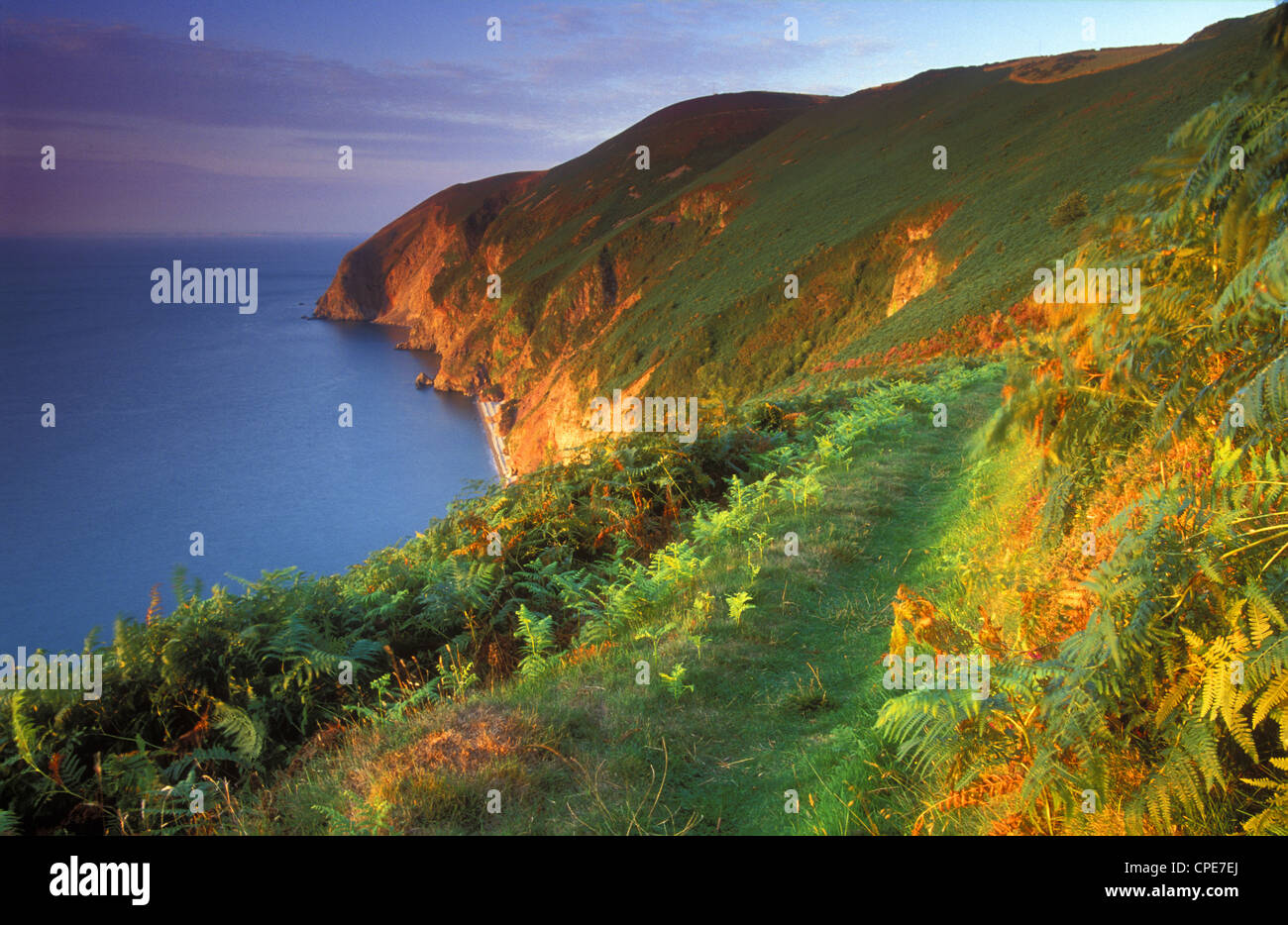Countisbury Hill, Exmoor National Park, Devon, England, United Kingdom ...
