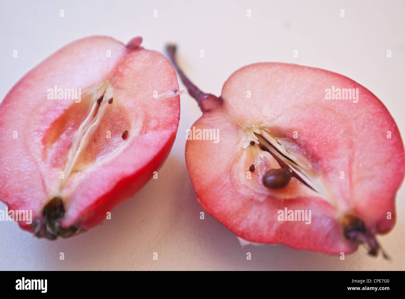 Crab apple cut open to show the colour of flesh on white background ...