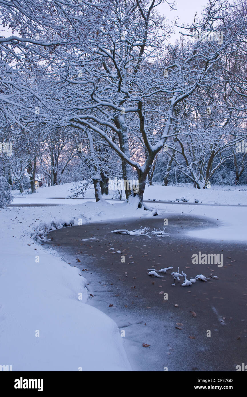 Hampstead Heath in winter, North London, England, United Kingdom ...