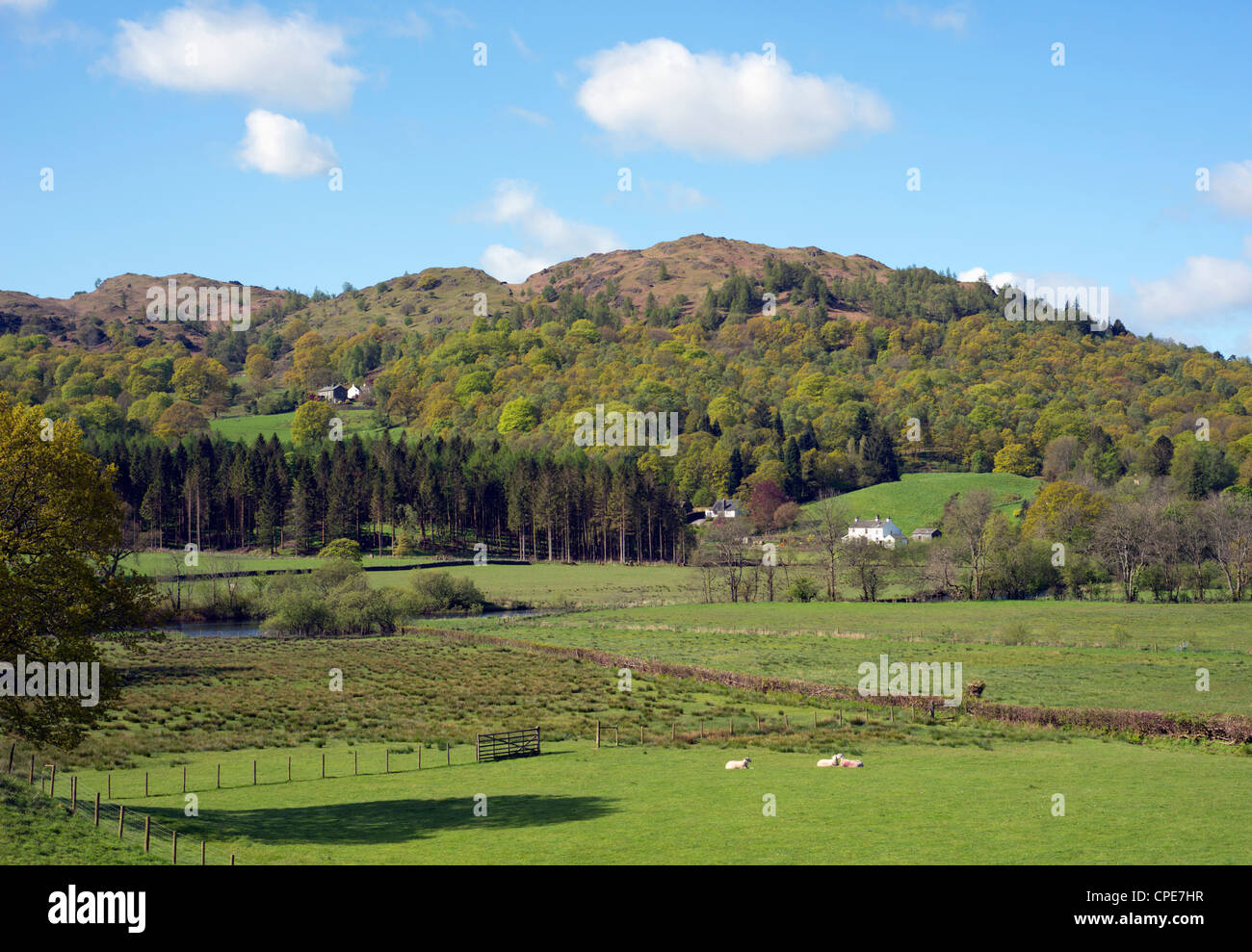 Black fell lake district hi-res stock photography and images - Alamy