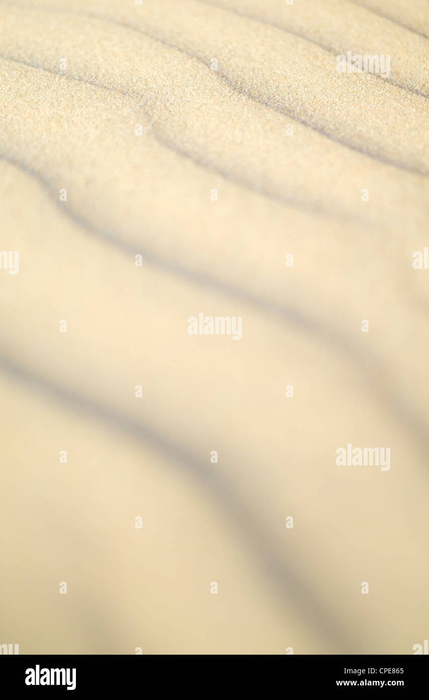Macro photograph of patterns in sand. Vertical Stock Photo - Alamy