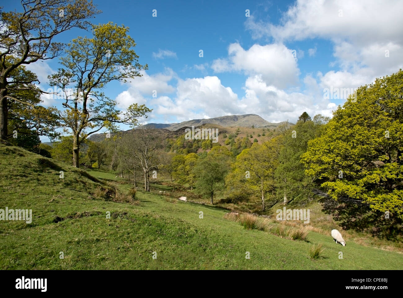Wetherlam and Black Fell from Skelwith, Lake District National Park ...