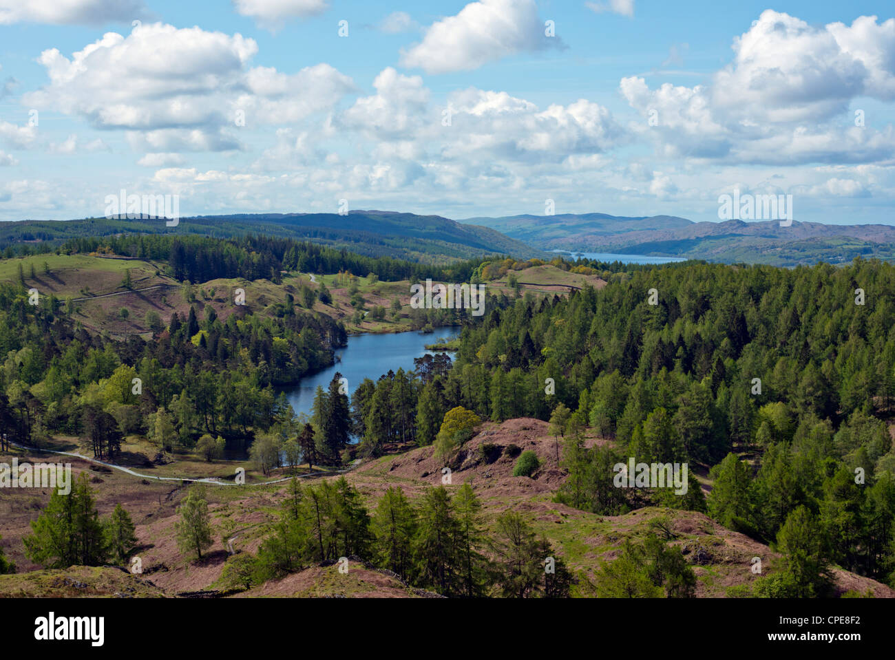 Tarn Hows and Coniston Water from Iron Keld. Skelwith, Lake District ...