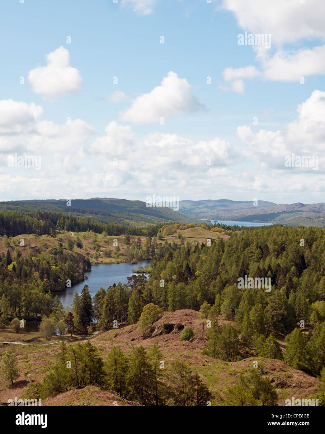 Tarn Hows and Coniston Water from Iron Keld. Skelwith, Lake District ...