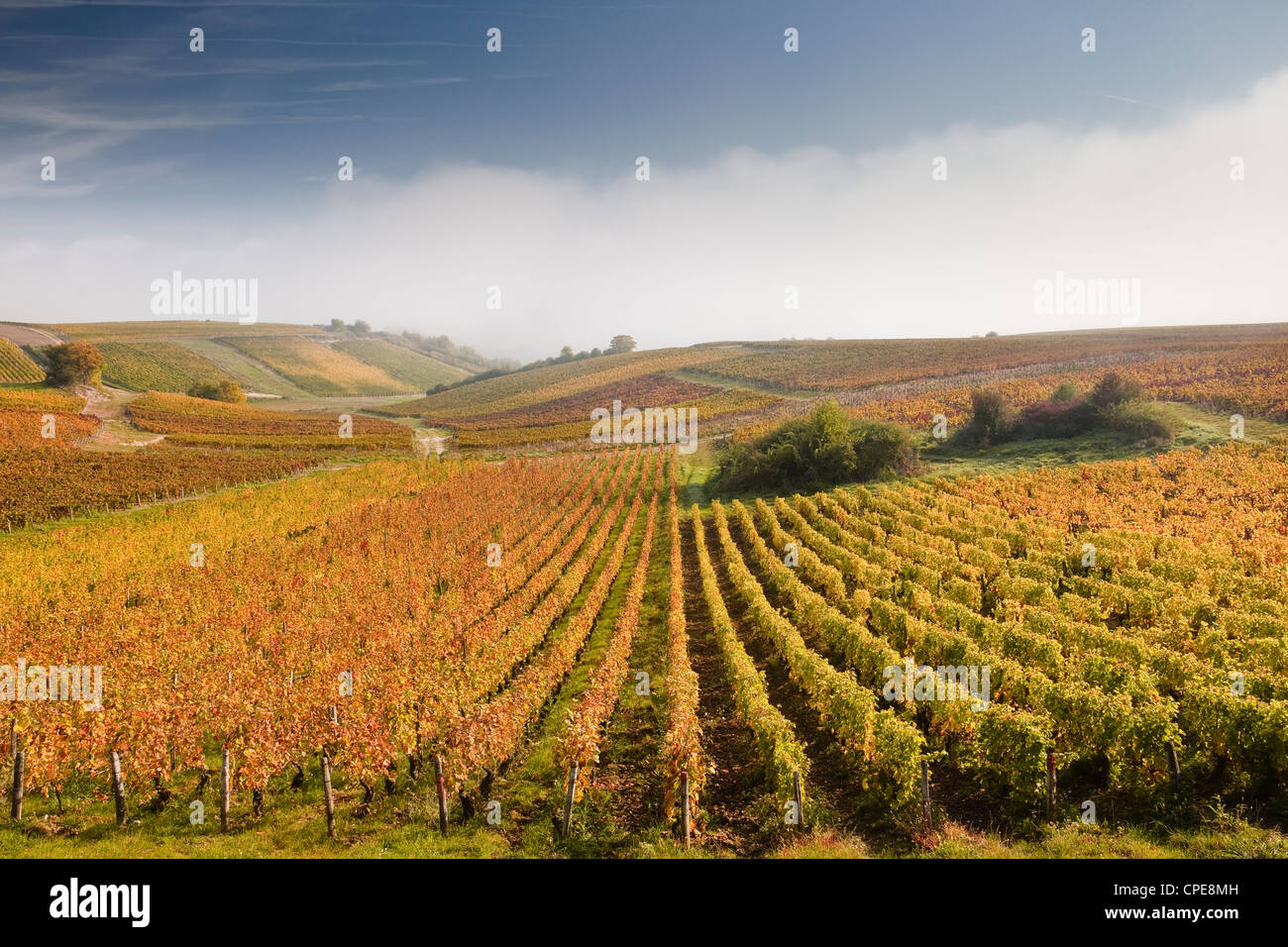 Sancerre hi-res stock photography and images - Alamy