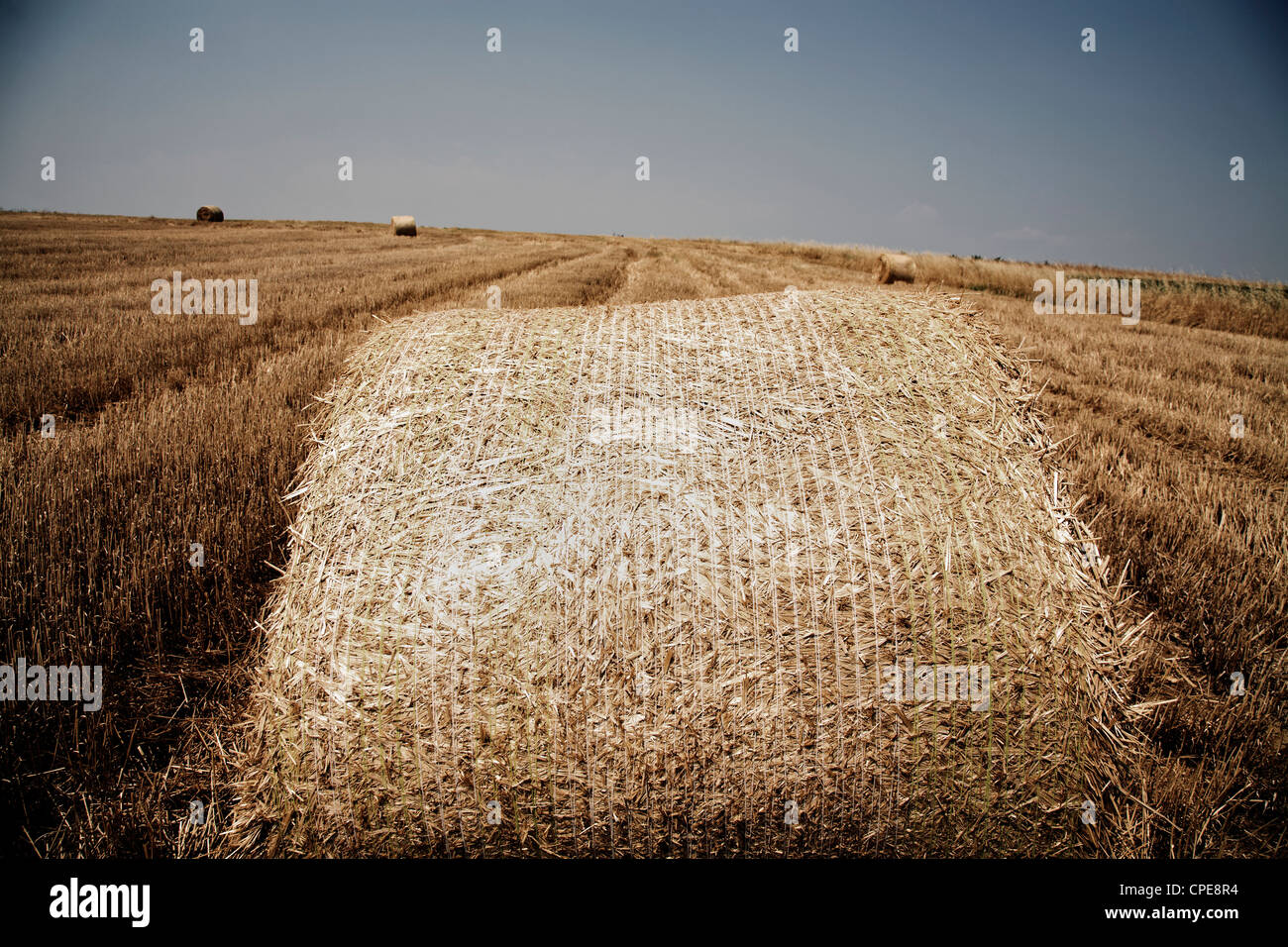 Strawfield hi-res stock photography and images - Alamy