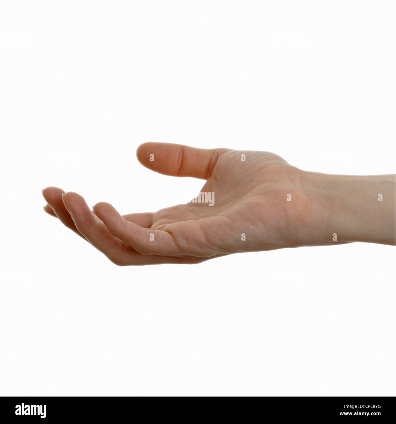 Cupped female hand on white background Stock Photo - Alamy