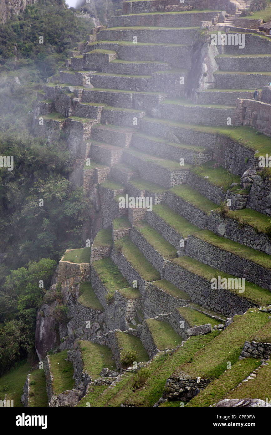 Agricultural terraces in the Inca city, Machu Picchu, UNESCO World ...